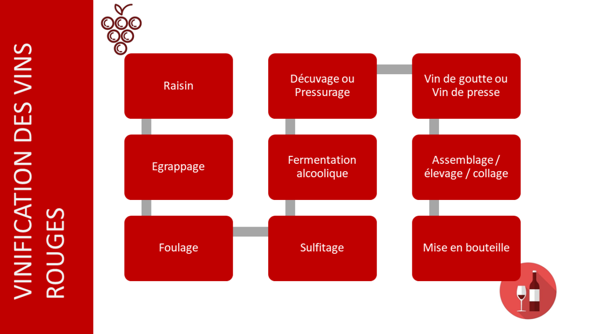 Tout savoir sur le vin : service et dégustation